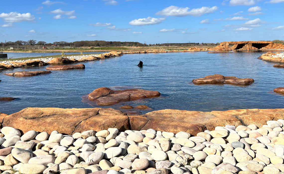 Zooscapes | Design, Build for Aquariums, Zoos, Museums, Theme Parks