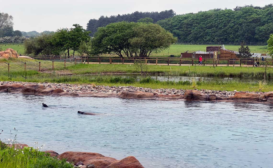 Zooscapes | Design, Build for Aquariums, Zoos, Museums, Theme Parks